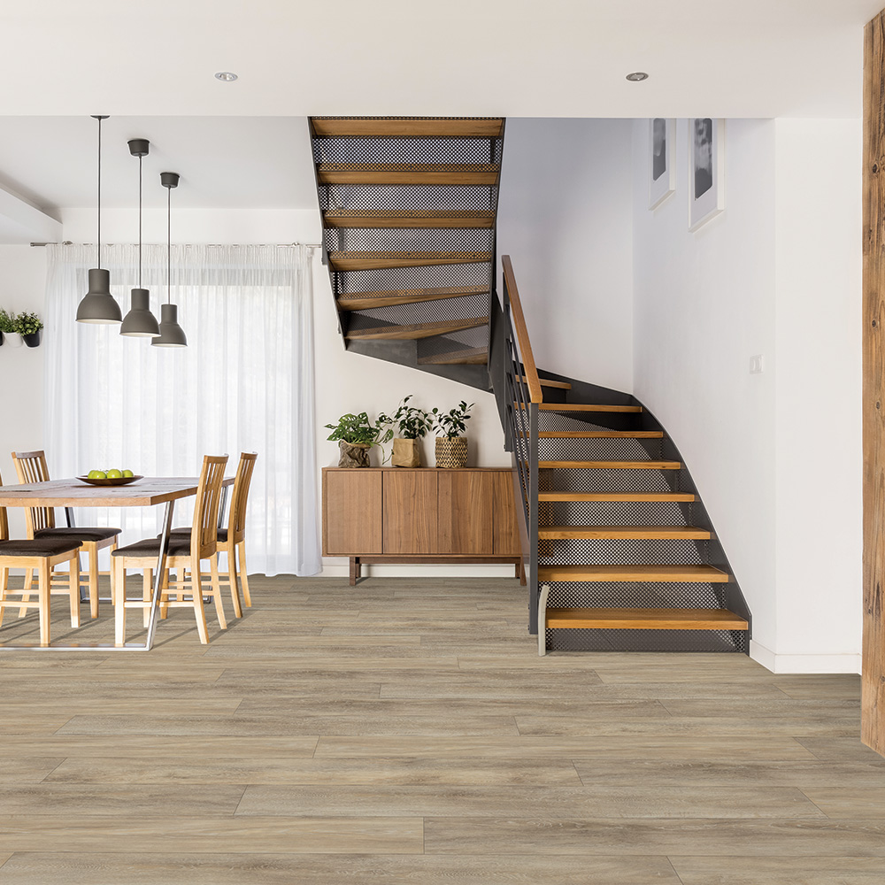 Bulletins | Single Bulletin - Beaulieu